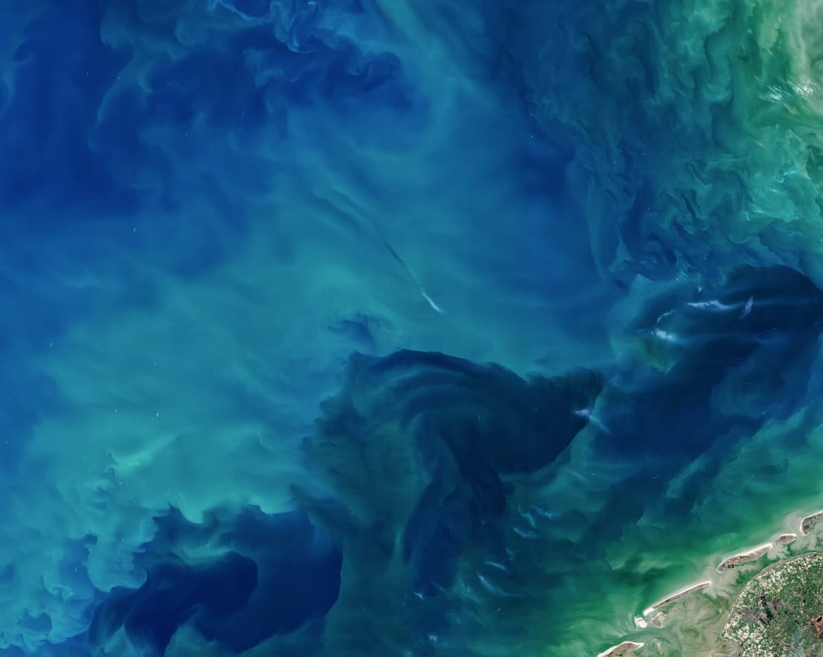 AIS Explorer · PredictWind